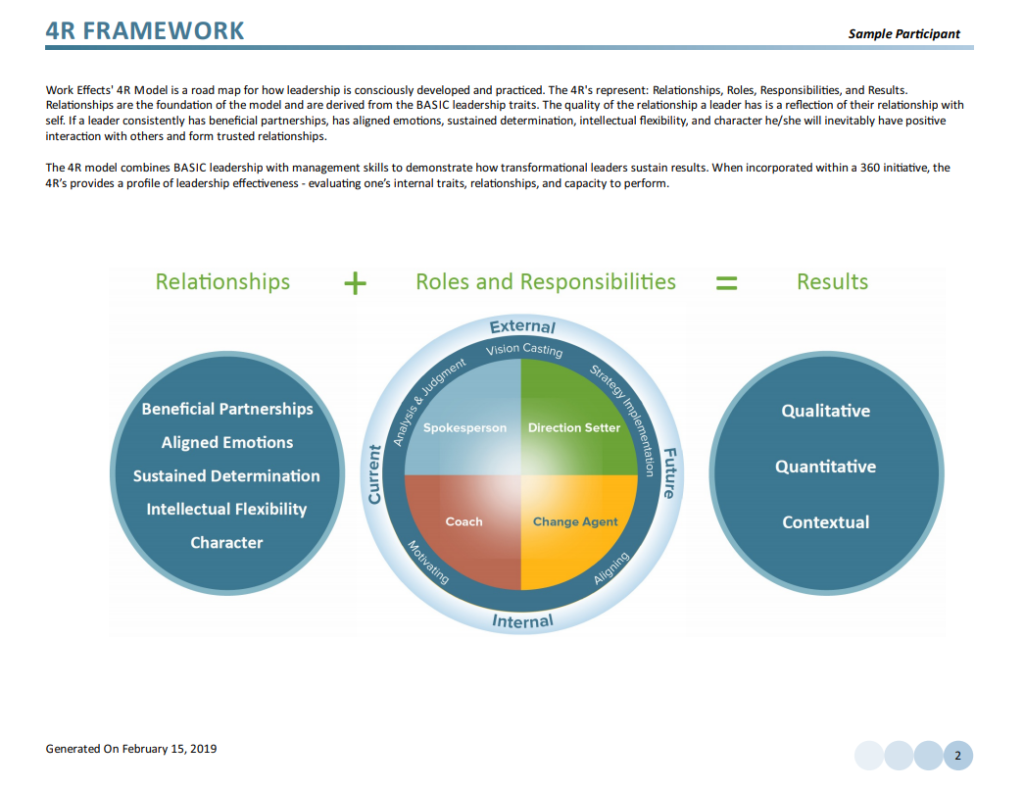 Revolution 360 Sample Report - Work Effects
