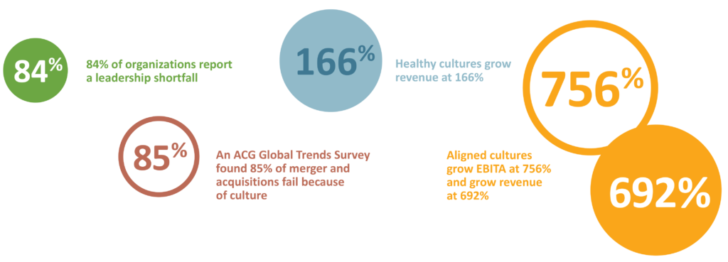 Work Effects - Strategy Culture Alignment and Leadership Insights