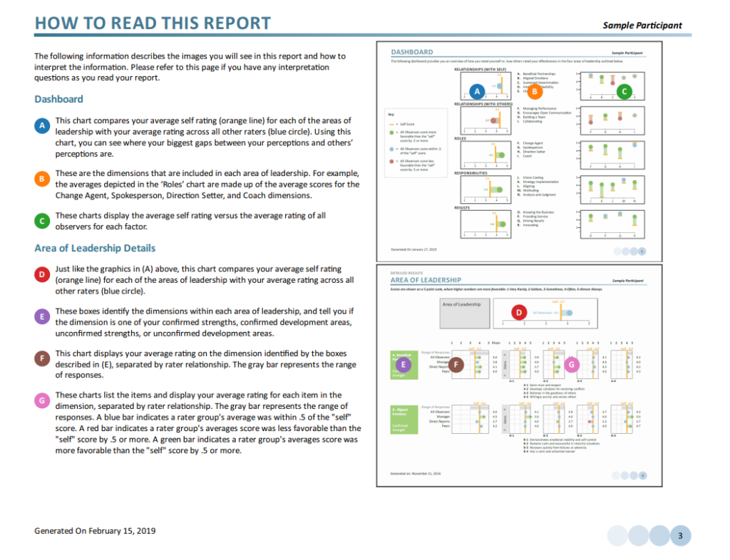 Revolution 360 Sample Report - Work Effects